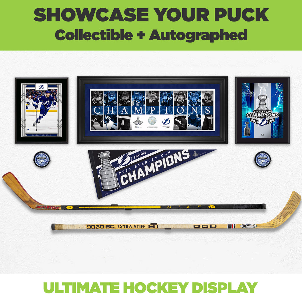 HIDEit Puck | Universal Hockey Puck Wall Mount – HIDEit Mounts